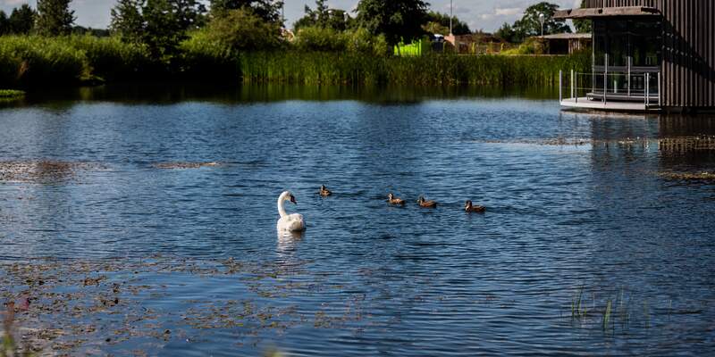 Our campus - About the University, University of York