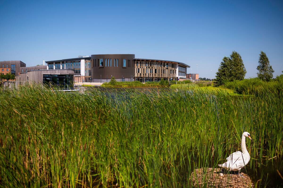 Long Boi - About the University, University of York