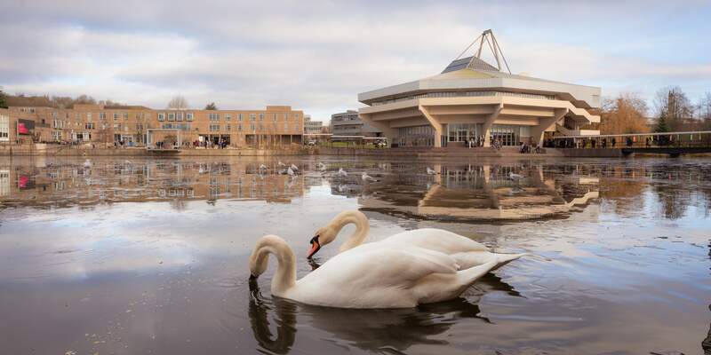 January newsletter - News, University of York