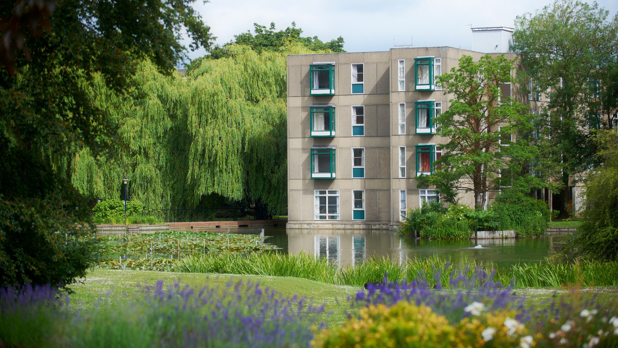 Game Night 2: Urban Labor-a-tree - Events, University of York