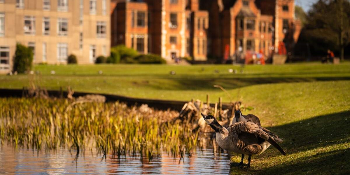 Community and environment - Campus operations, University of York