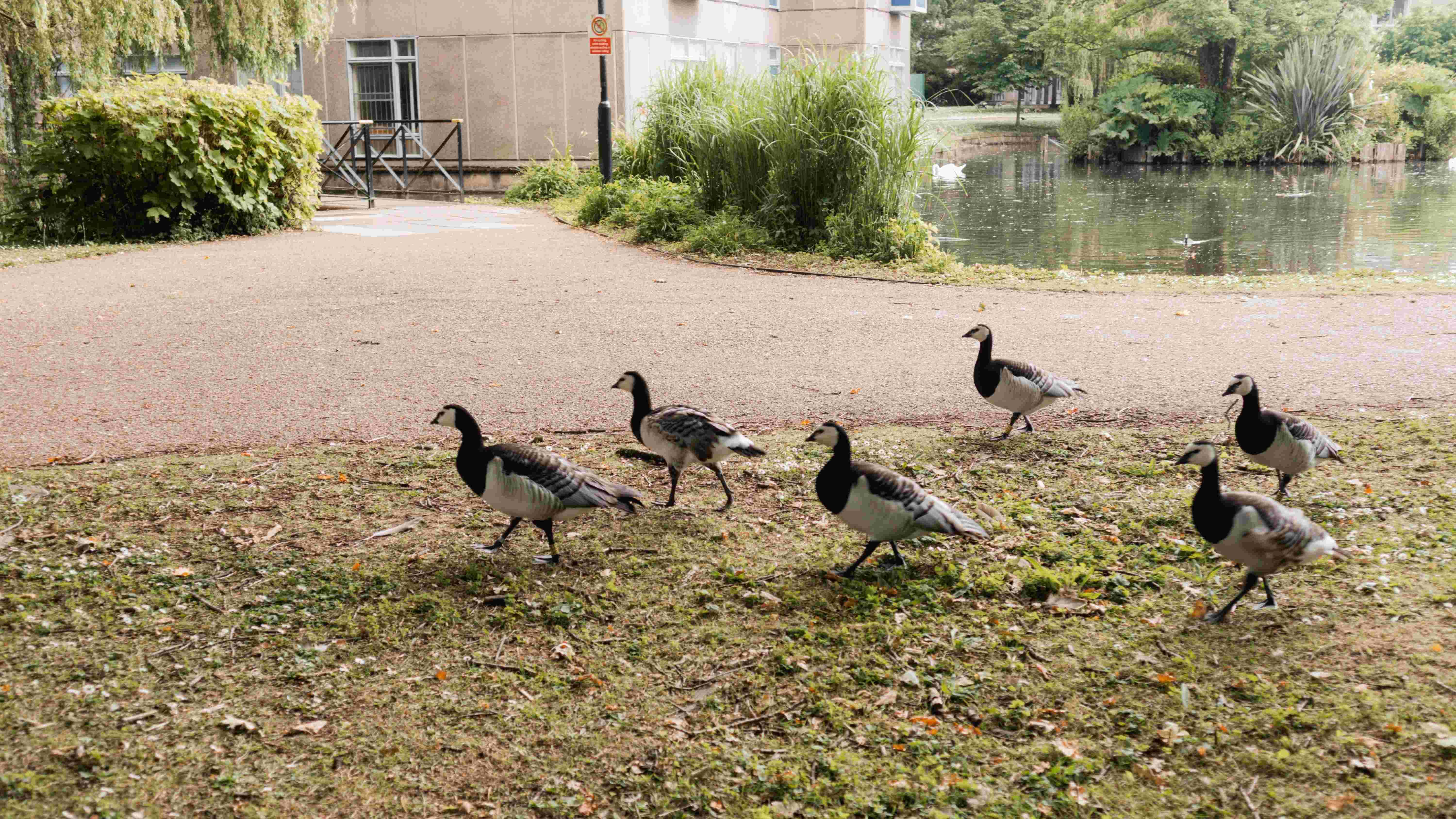 Sustainable Development Grant - Get involved, University of York