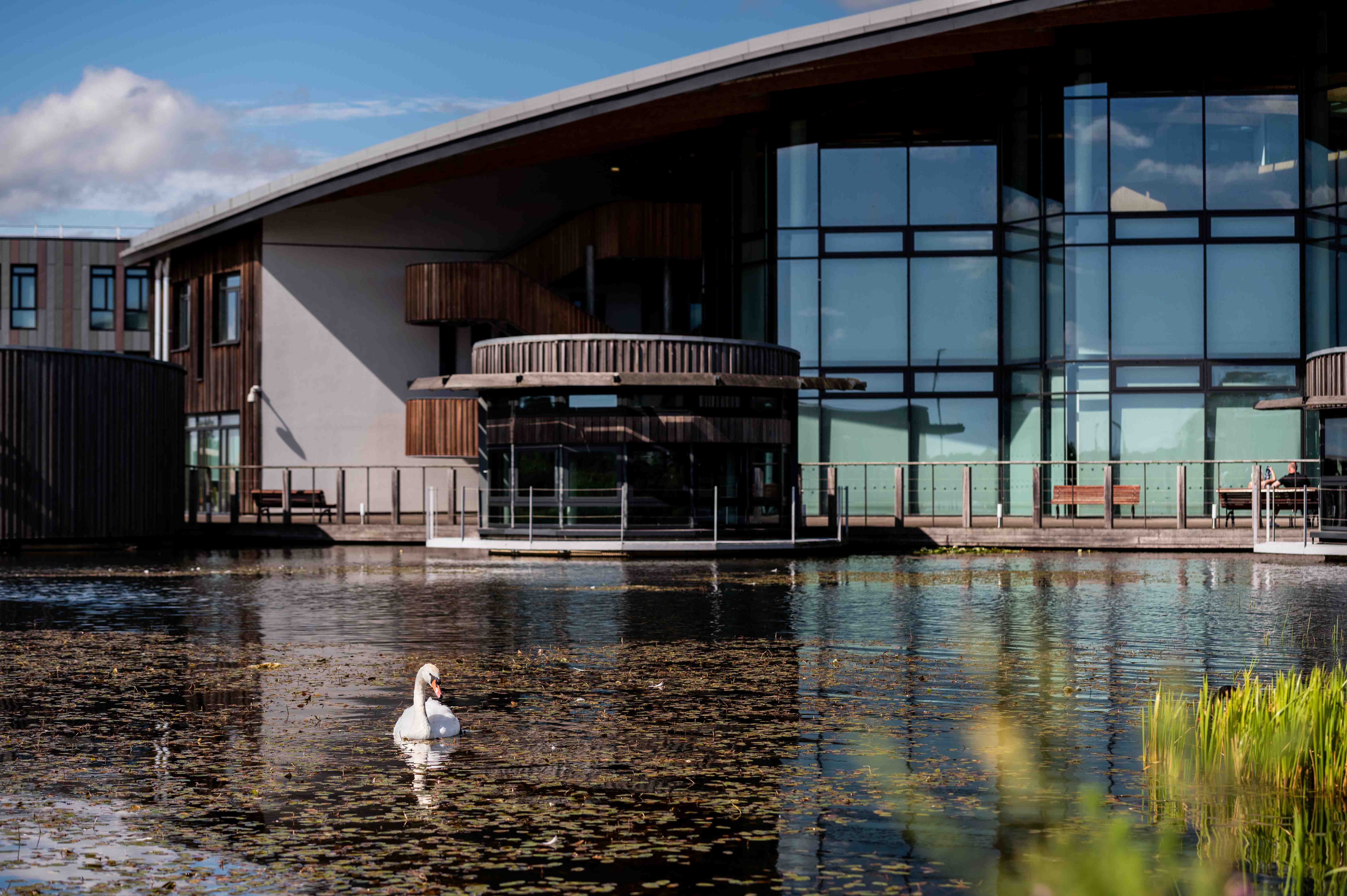 Our progress - Sustainability, University of York