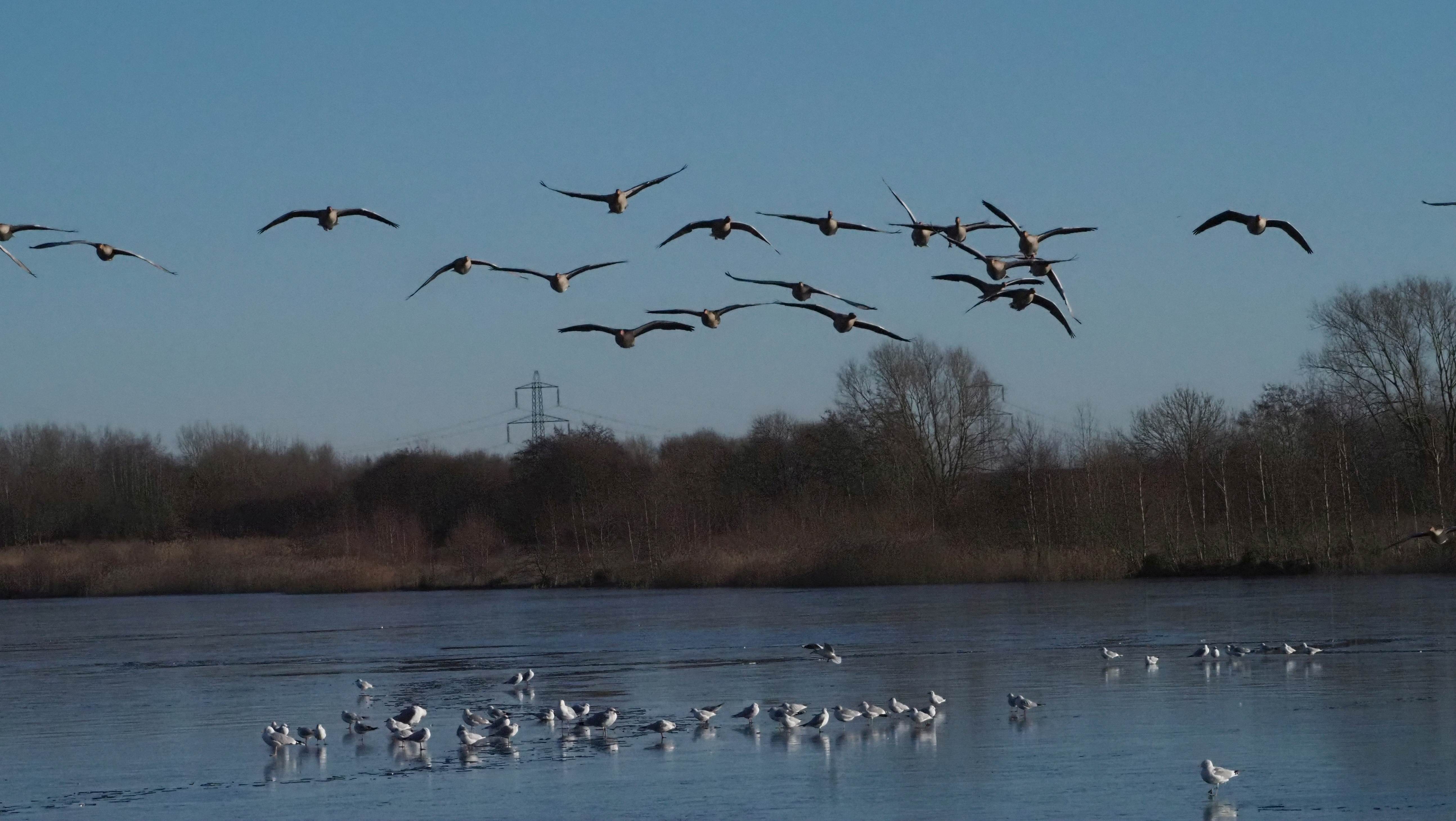 Nature walk - Sustainability, University of York