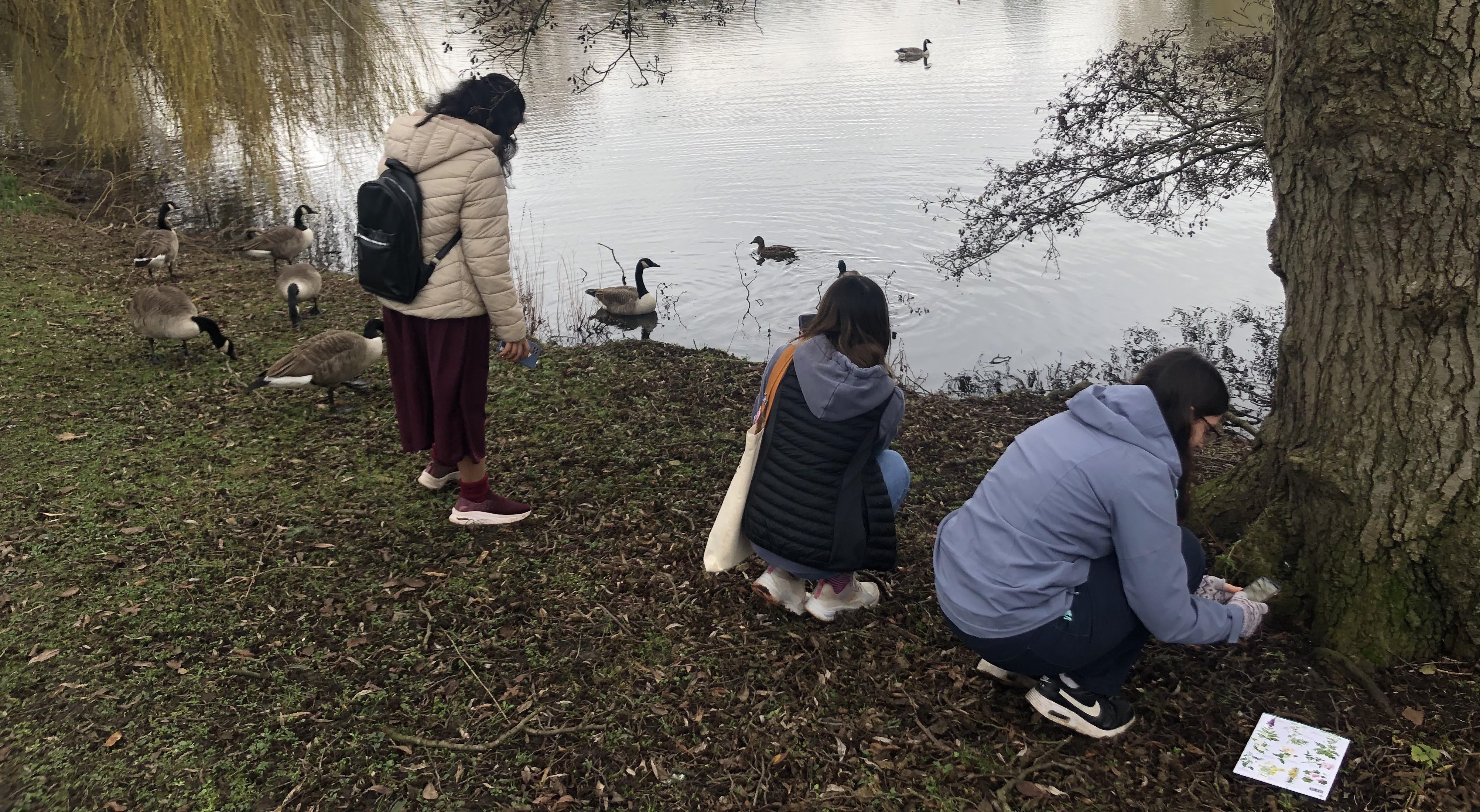 Multi-sensory nature walk - Events, University of York