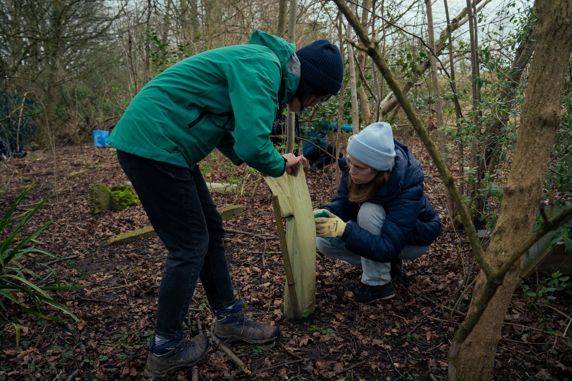 Sustainability Week newsletter - News, University of York