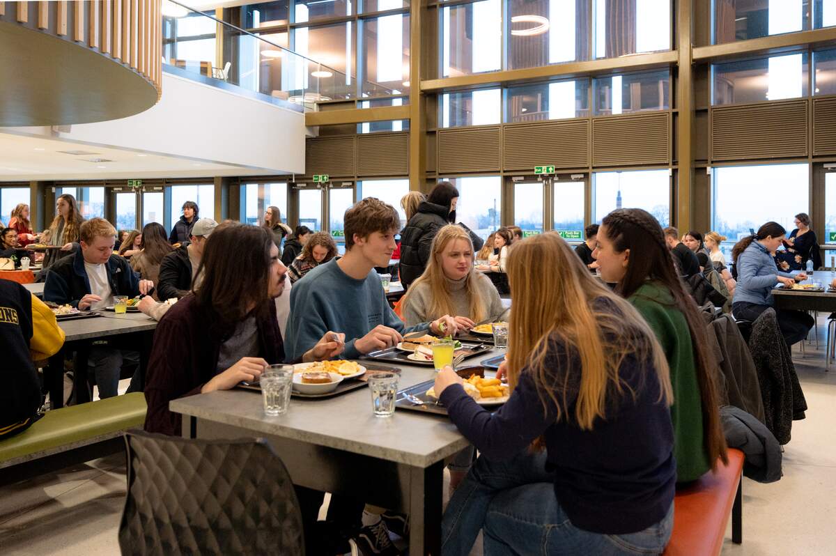 Emily Narey's food waste project - News, University of York