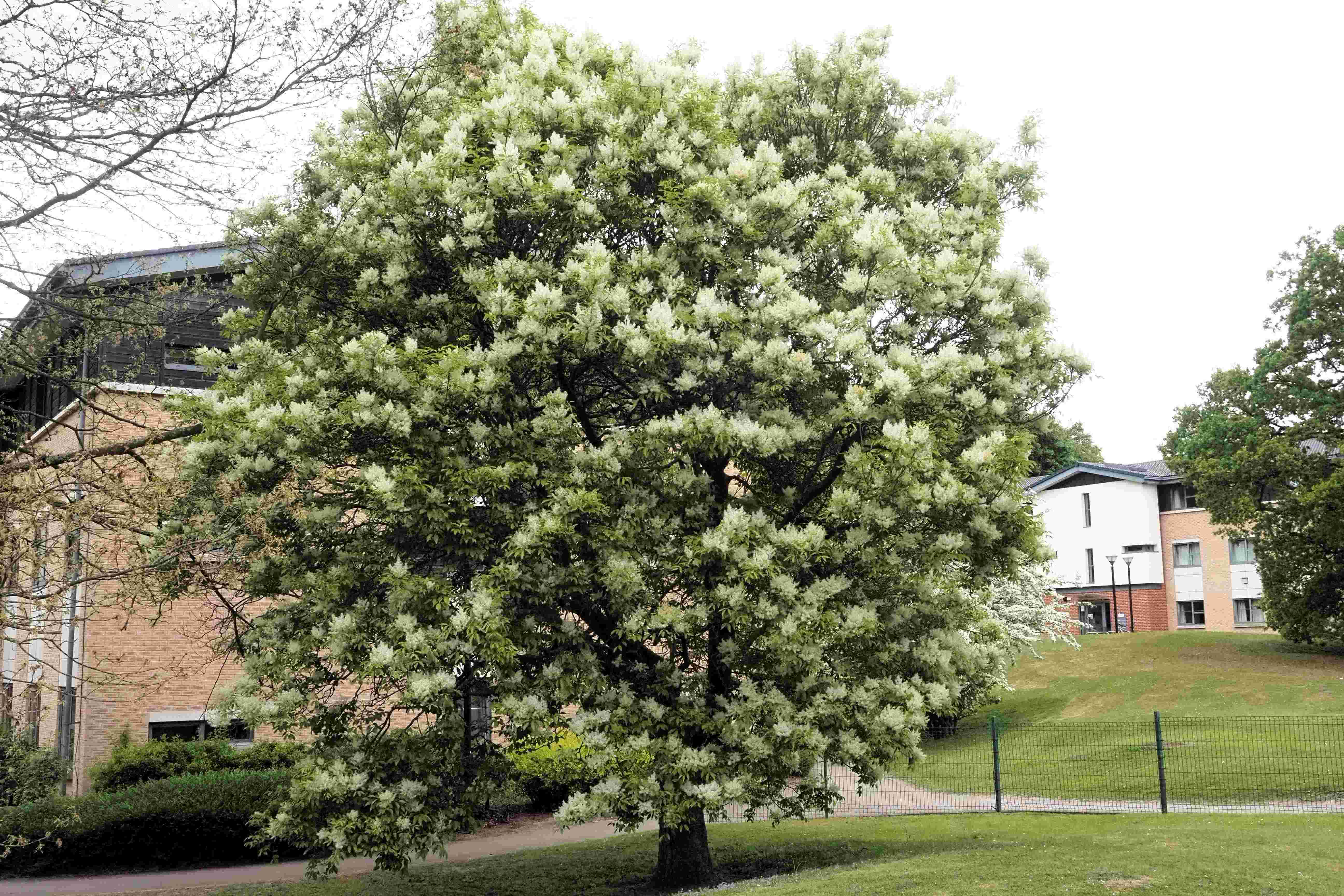 Sustainability - Sustainability, University of York