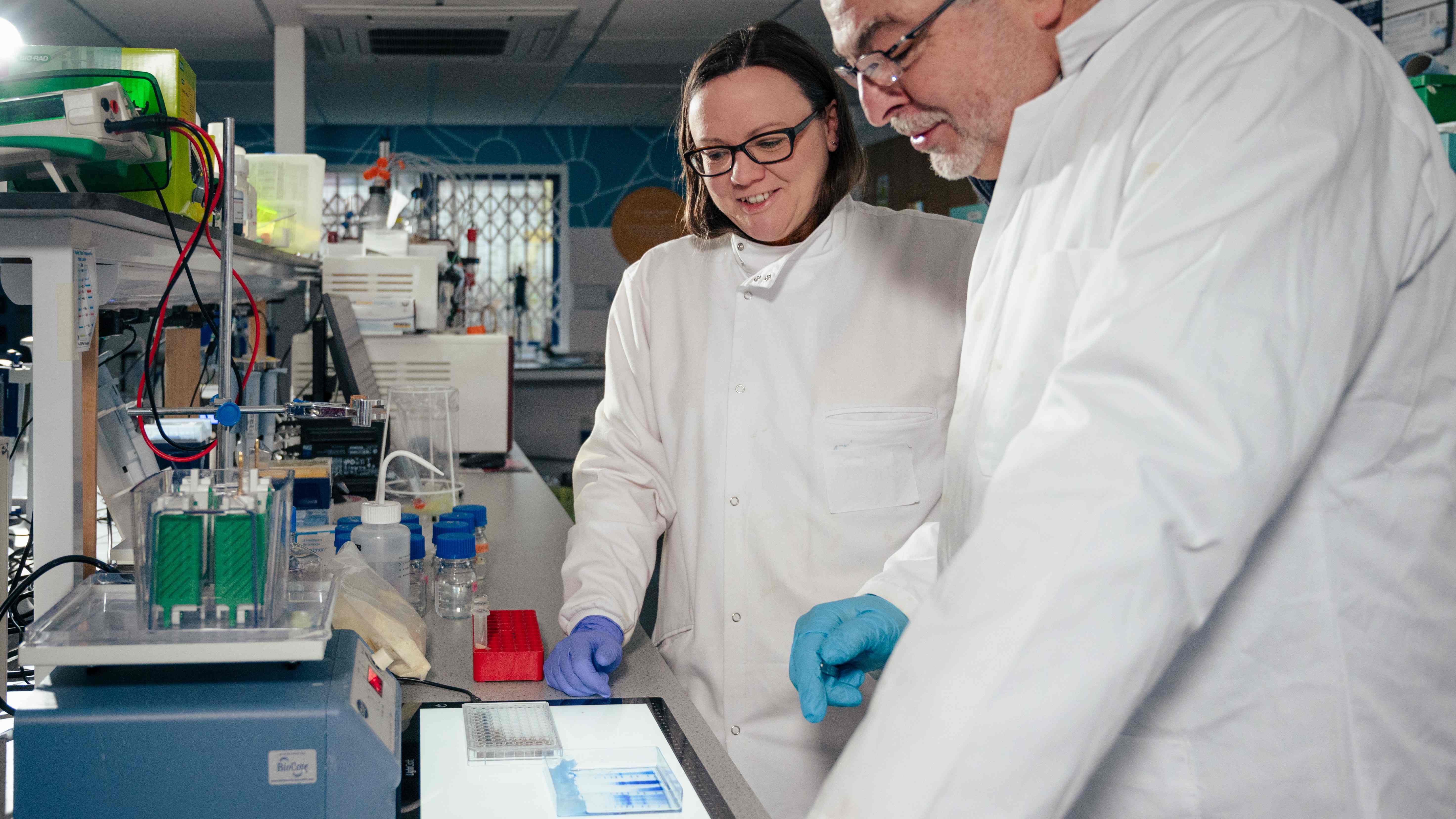 Green Impact Lab Accreditation success - News, University of York
