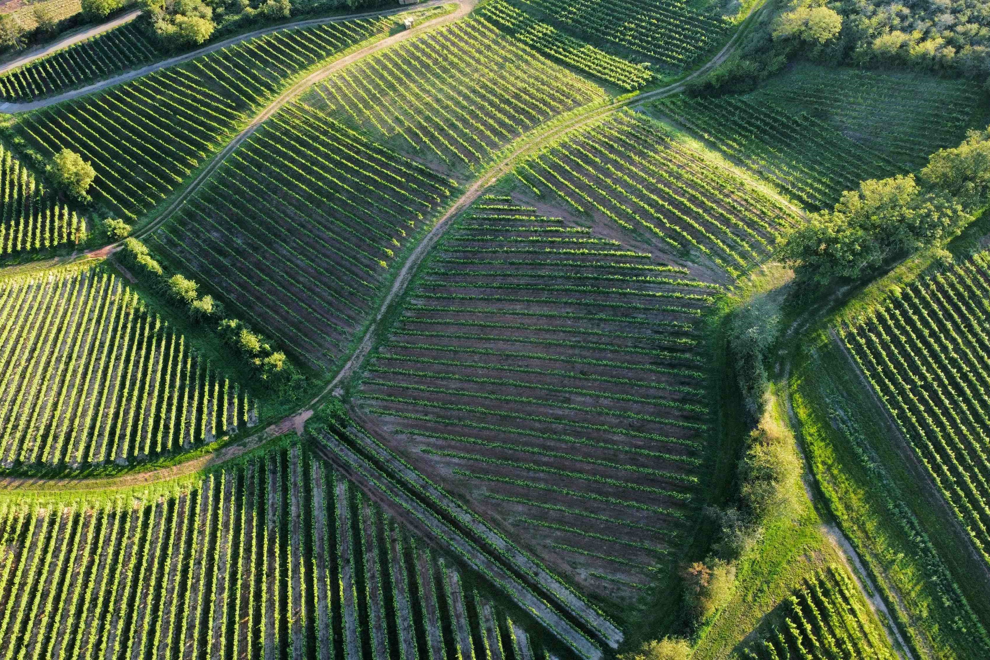 Carbon Literacy Training - Get involved, University of York