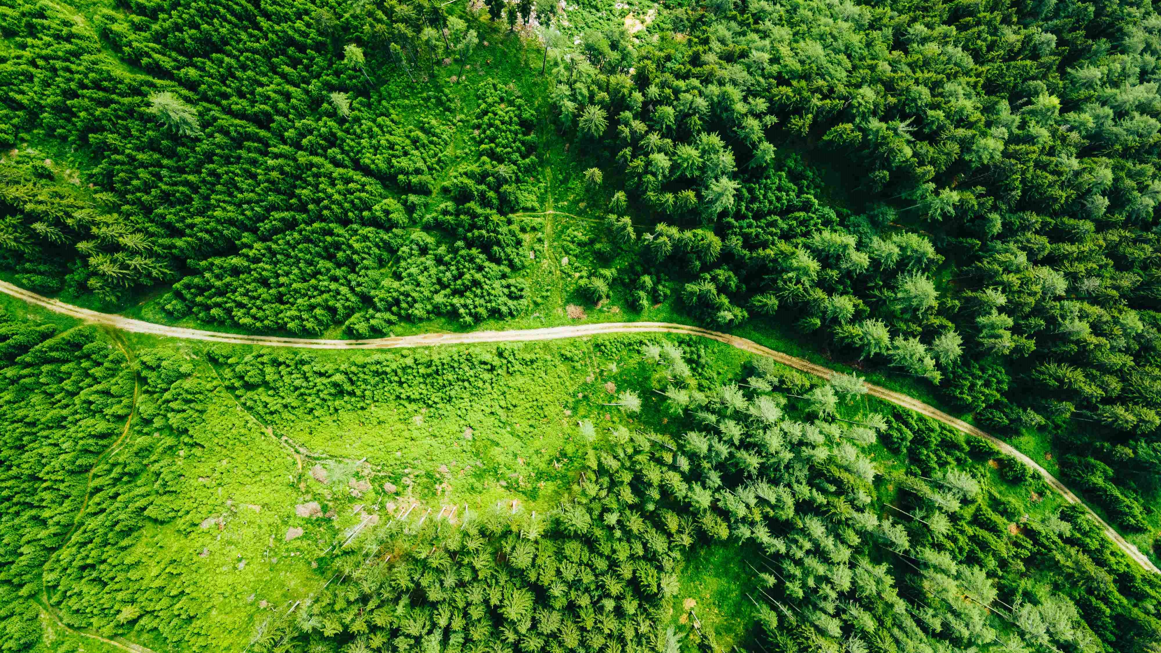 Climate Fresk - Get involved, University of York