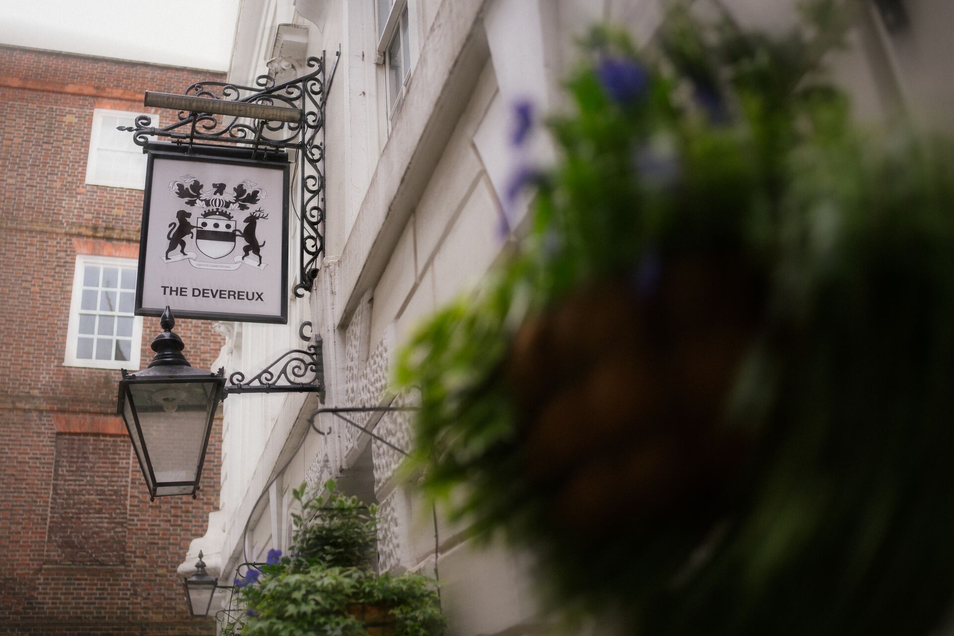 Alumni, University of York