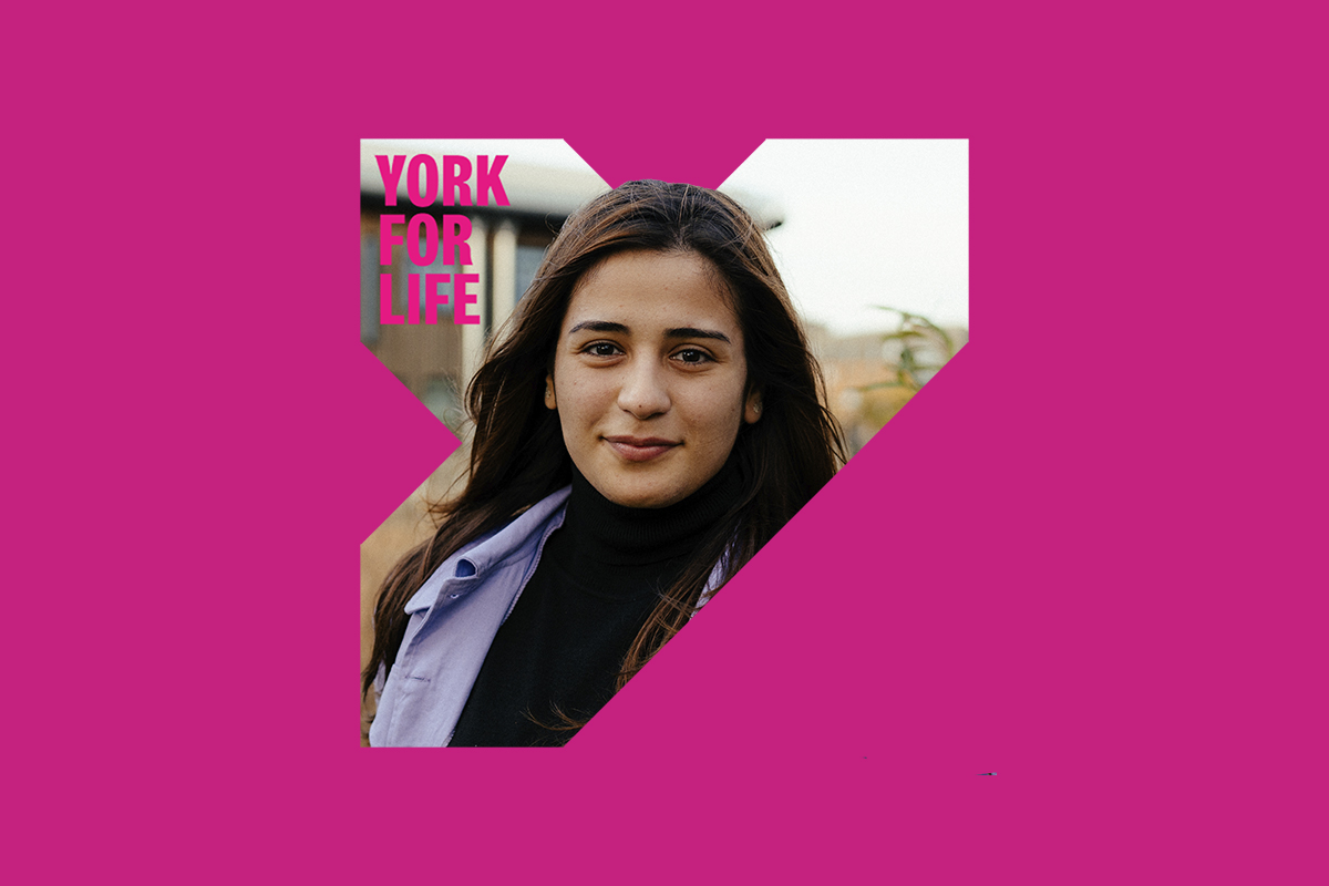 Learn - Alumni, University of York