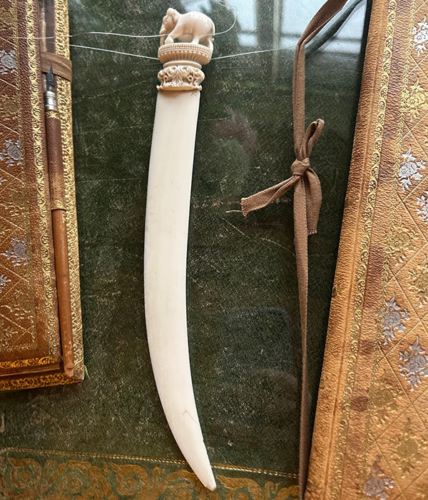 Historic and contemporary issues around the ivory trade. - Leverhulme ...