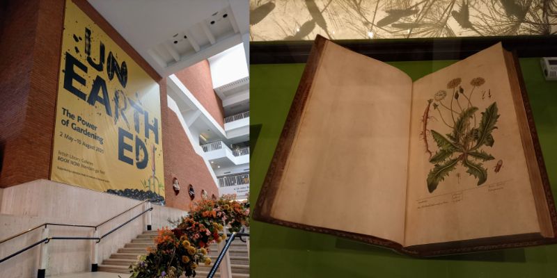 Unearthed, University of York