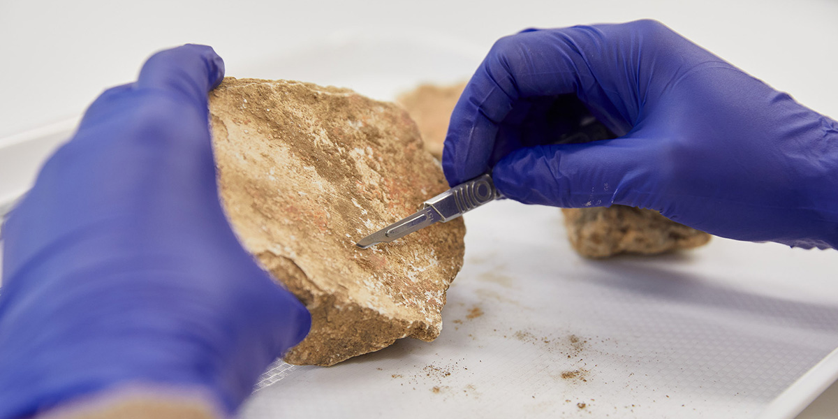 Introducing the Centre for Artefacts and Materials Analysis ...