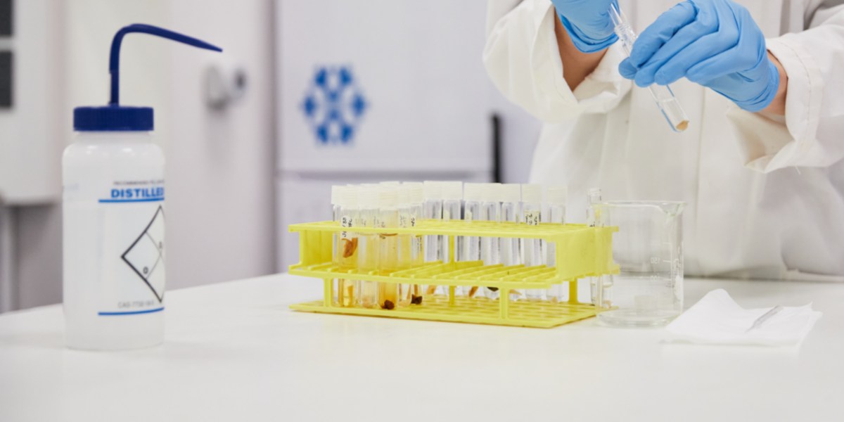 Bioarchaeology (BSc) - Undergraduate, University of York