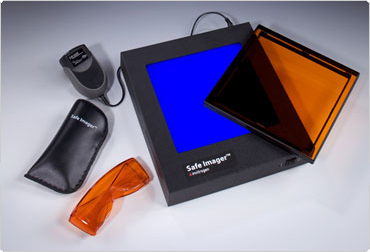 Alternatives to UV Transilluminators - Department of Biology ...