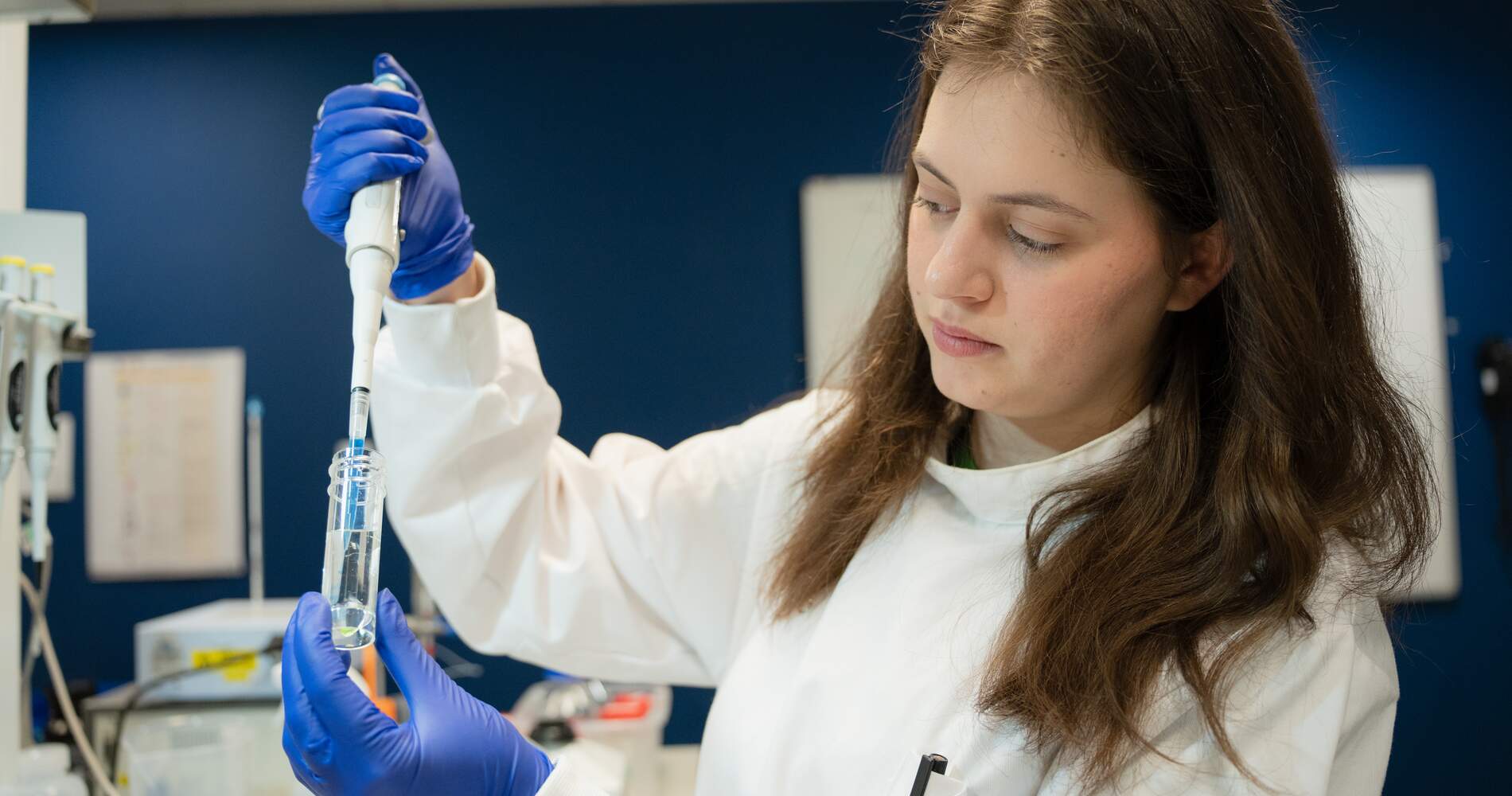 PhD in Biomedical Science - York Biomedical Research Institute ...