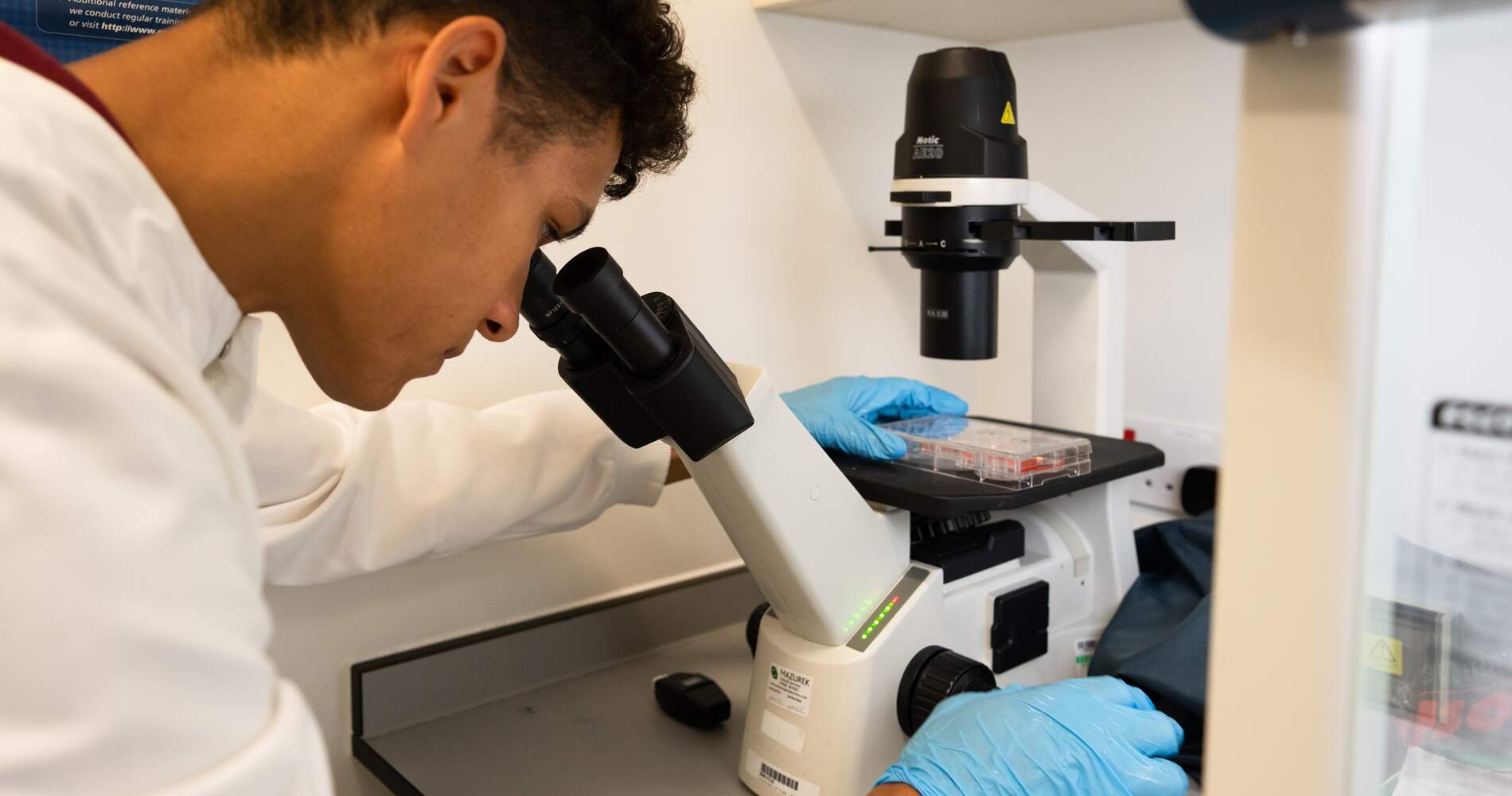 MSc Biomedical Science (by research) - York Biomedical Research ...