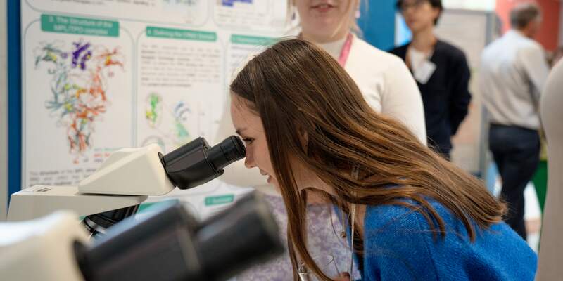 PhD in Biomedical Science - York Biomedical Research Institute ...