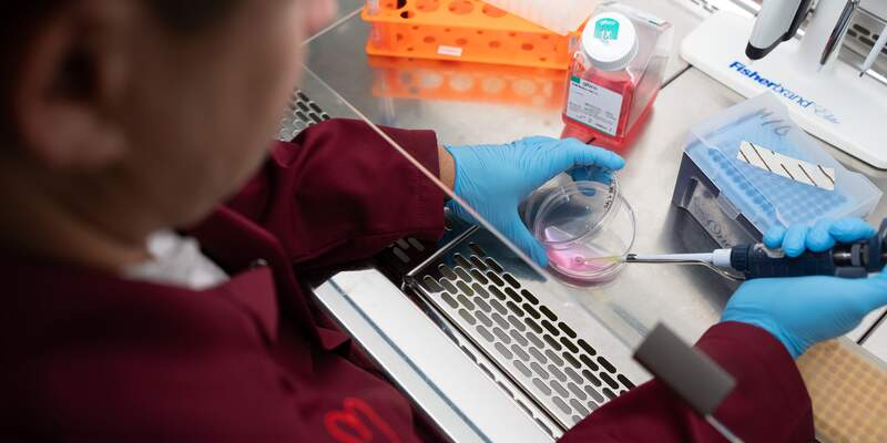 PhD in Biomedical Science - York Biomedical Research Institute ...