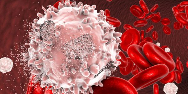 Cancer@York - York Biomedical Research Institute, University of York