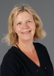 Dr Christine Harrison - School for Business and Society, University of York