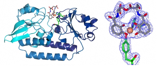Dr Daniel Raines - Department of Chemistry, University of York