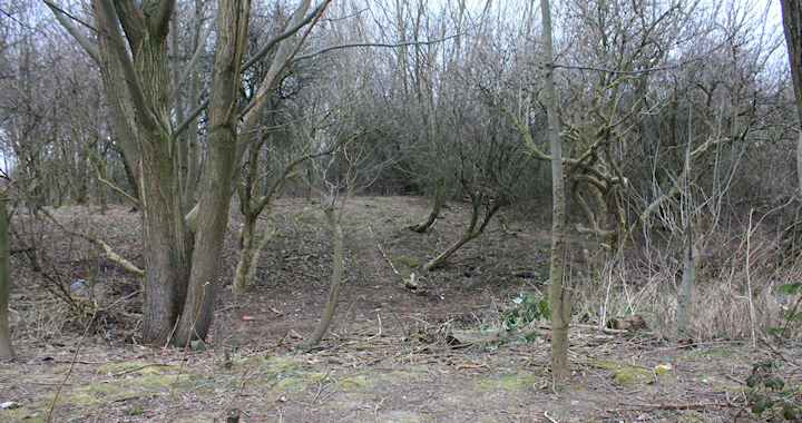 The Glade - Centre for Lifelong Learning, University of York