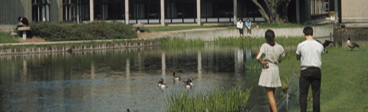 50th anniversary - Education, University of York