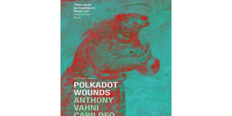 Publication news: Polka Dot Wounds - Department of English and Related ...