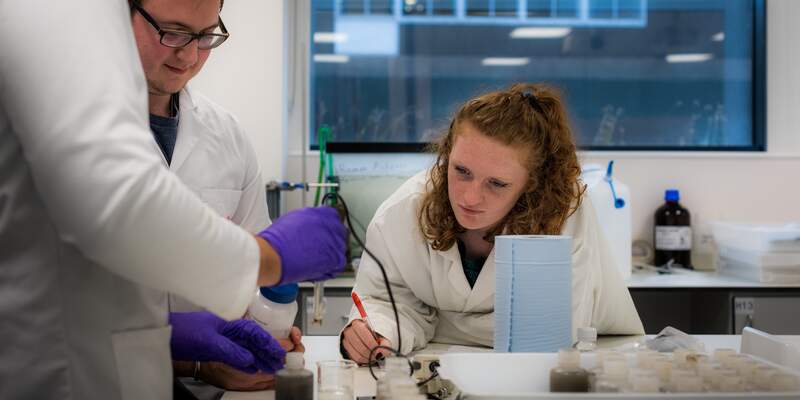 Research projects - Department of Environment and Geography, University ...