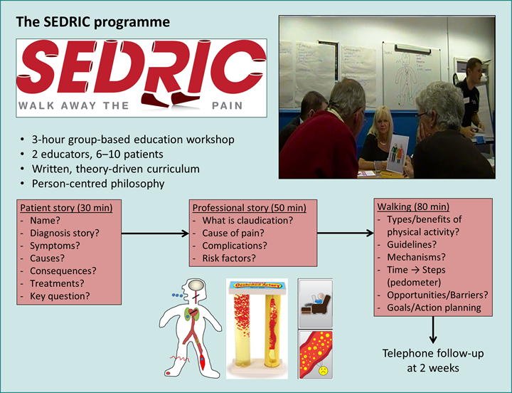 SEDRIC programme diagram - SEDRIC, University of York