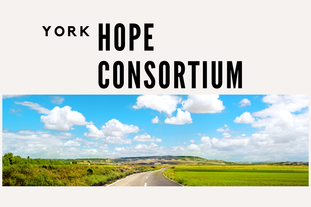 Interdisciplinary York Hope Consortium founded - Interdisciplinary ...