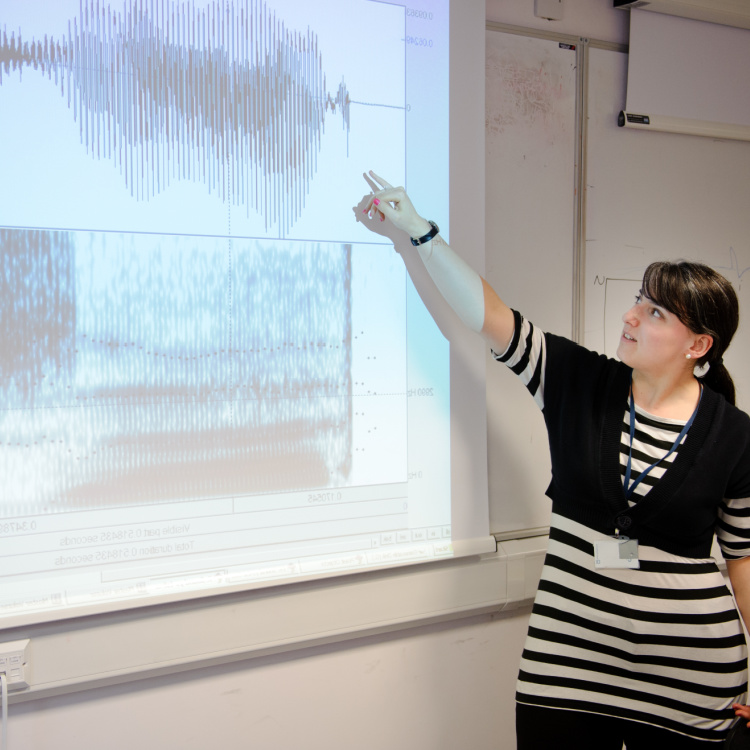 Linguistics (MSc) - Postgraduate taught, University of York