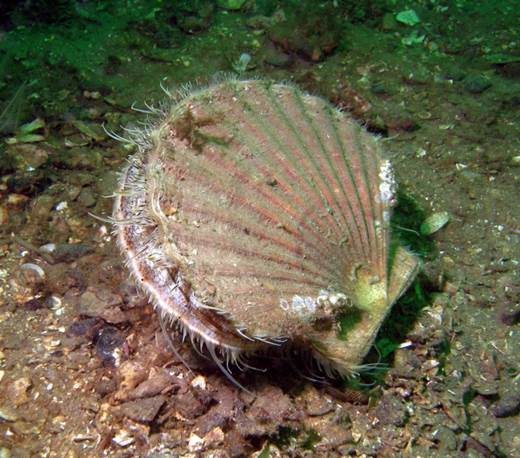 Gallery - News and events, University of York