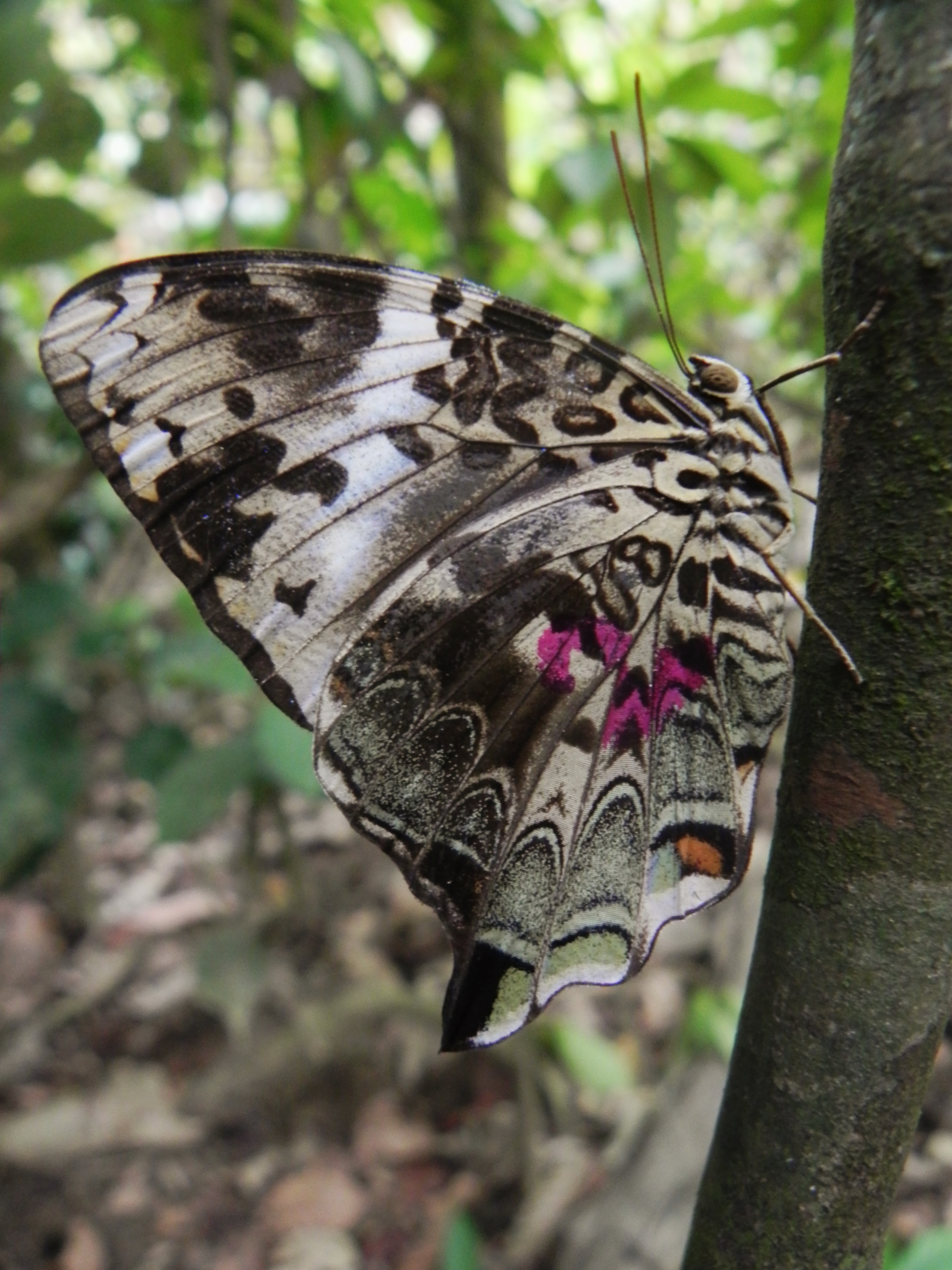 gallery - News and events, University of York