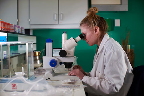 Funding boost for the next generation of environmental scientists ...