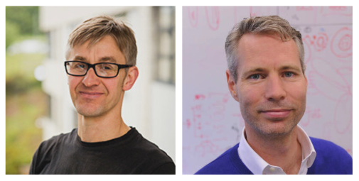 Professors from York elected Fellows of the Academy of Medical Sciences ...