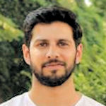 Bridging the gap between art and nature: Beauty and aesthetic value in ...