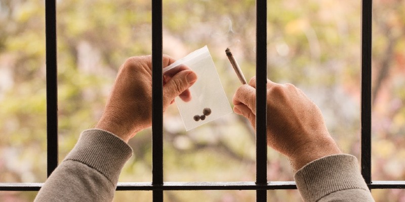 Drug policy behind bars: Policing and rehabilitating the prison ...