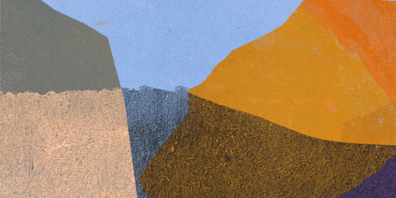 Wildly Different: How Five Women Reclaimed Nature in a Man's World ...