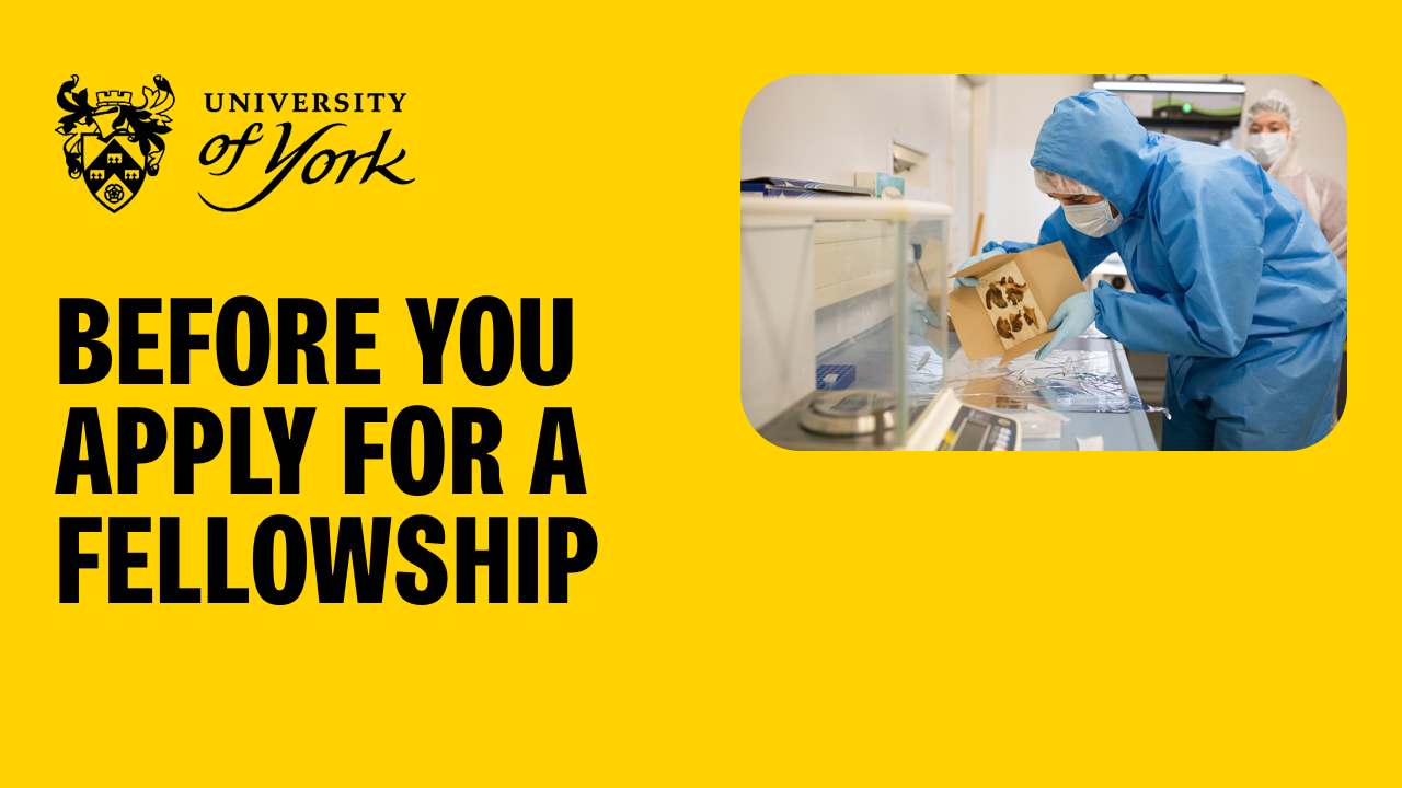 Developing a fellowship application - Fellowships, University of York