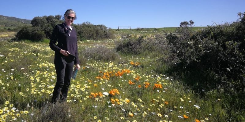 Lindsey Gillson - Research, University of York