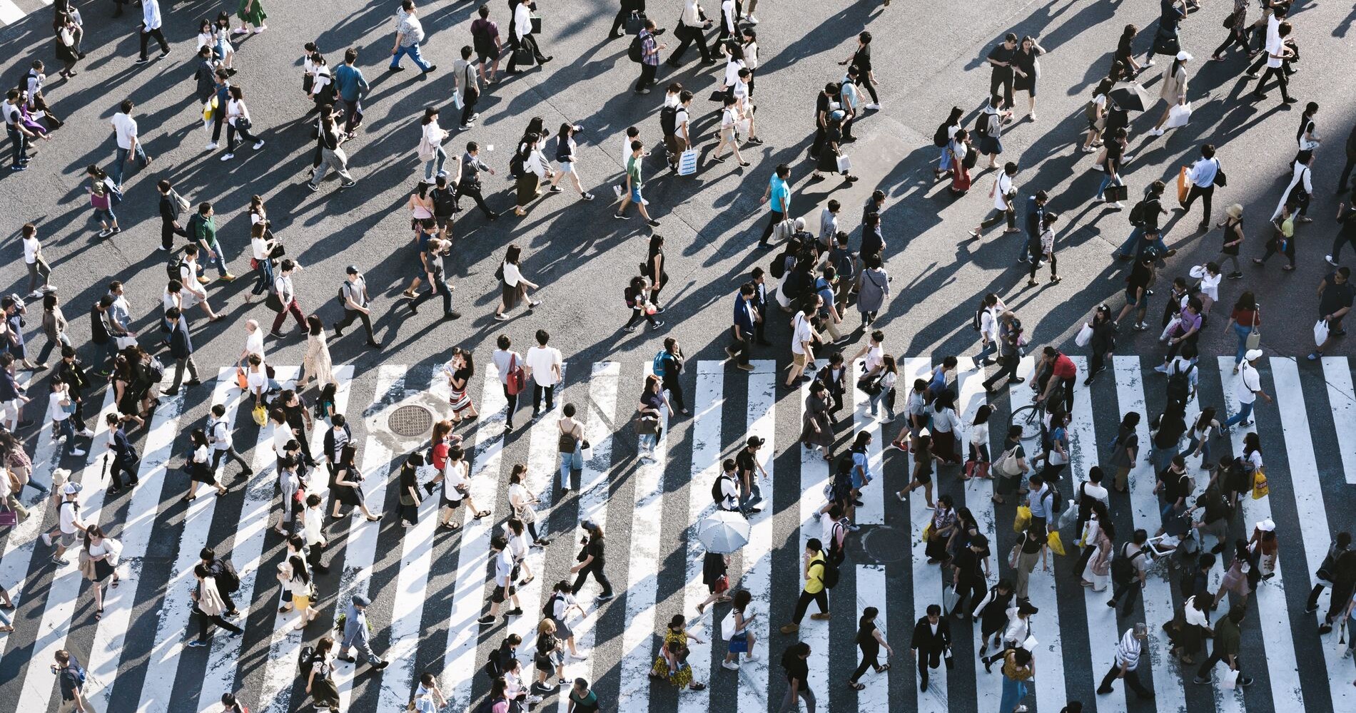 Sociology (BA) - Undergraduate, University of York