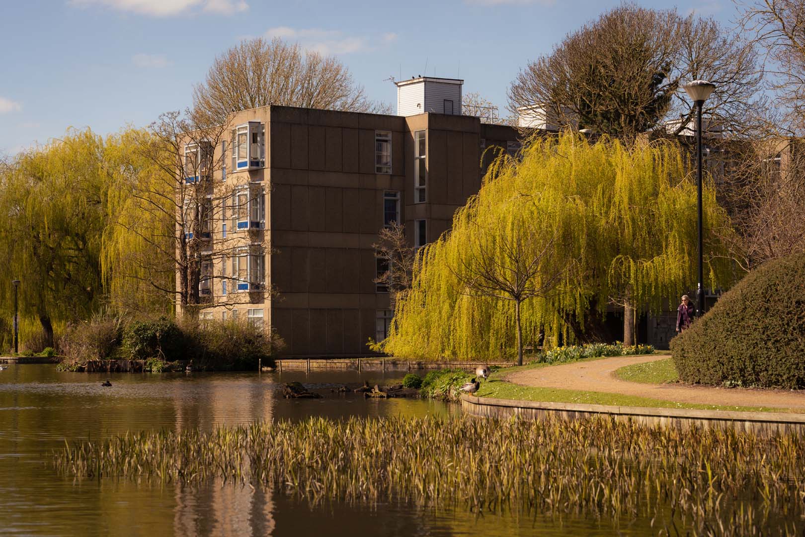 Campus tours - Undergraduate, University of York