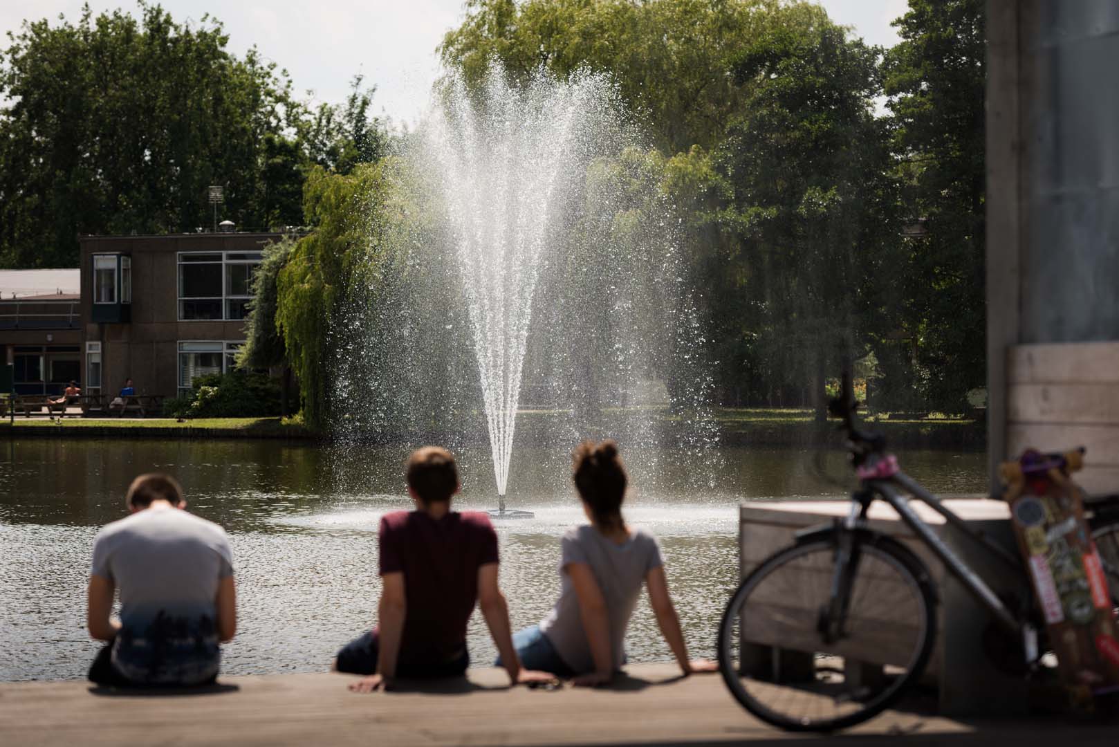 Campus tours - Undergraduate, University of York