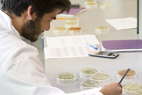 Bioinformatics (MSc) - Postgraduate taught, University of York