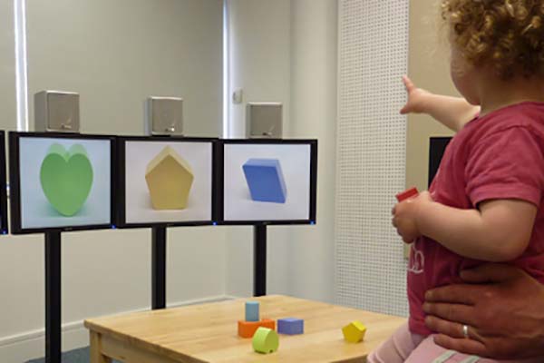 Developmental Cognitive Neuroscience (MSc) - Postgraduate taught ...